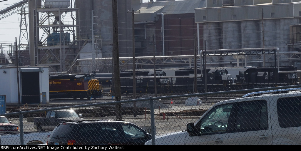 CLXX 6003 NS 3556 3491 3515